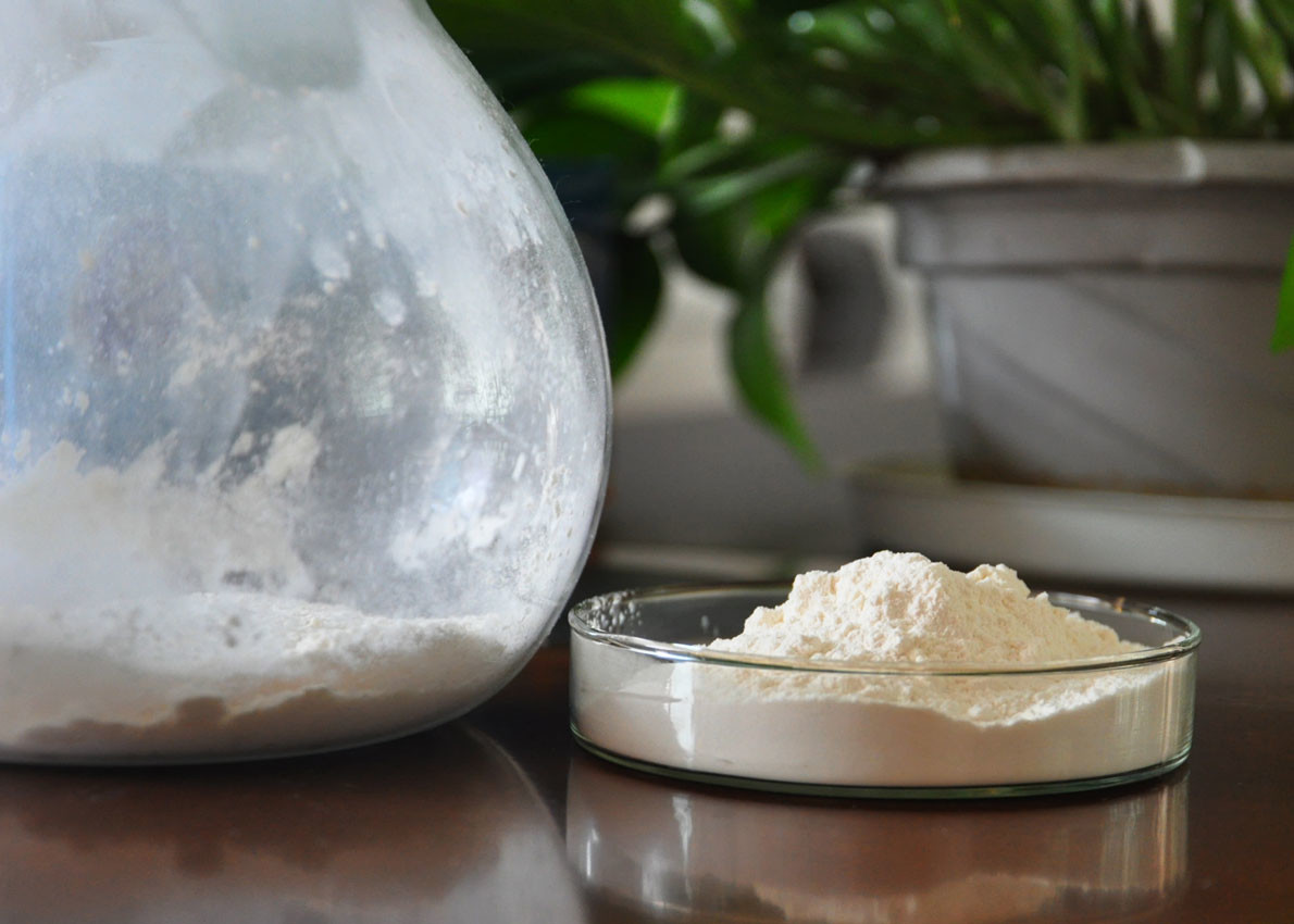 Natural 20% Protein Shark Cartilage Powder White With 20% Calcium