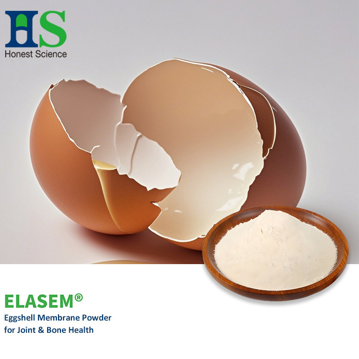 Bulk Eggshell Membrane Powder for Joint & Bone Health-A New Choice